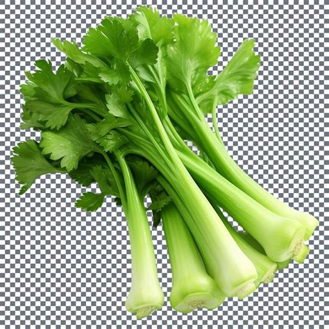 Celery Psd 3000 High Quality Free Psd Templates For Download
