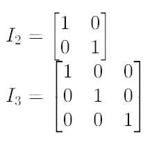 Identity Matrix Definition Examples And Properties