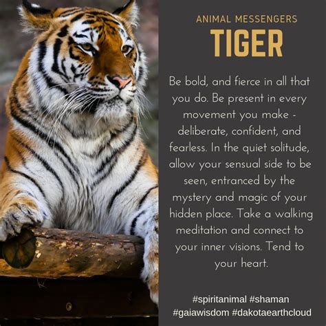 Tiger Symbolism Meaning Artofit