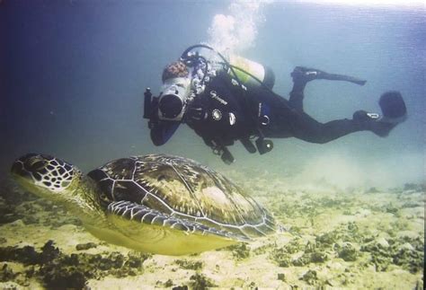 Mar Mas “el éxito Profesional No Se Mide Solo Por Logros Individuales