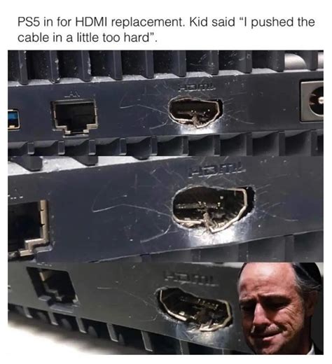 Memes For Brain Python