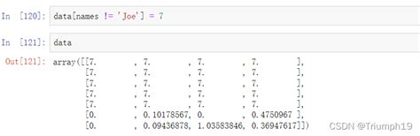 利用python进行数据分析第四章（numpy基础：数组与向量化计算）python Vectorization Csdn博客
