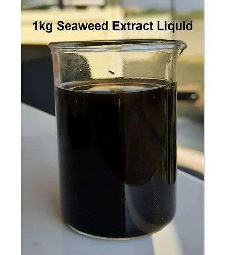 Seaweed Extract Seaweed Extract Gel Manufacturer From Madurai