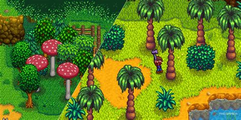 Why Do Trees Grow Around Objects Stardew Valley