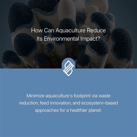How Can Aquaculture Reduce Its Environmental Impact → Question