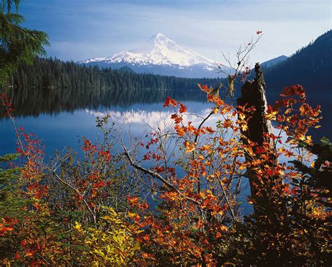 Mount Hood From Lost Lake Mount Hood Bild Kaufen 70167108 Lookphotos