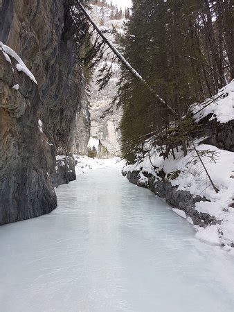 Grotto Canyon Canmore All You Need To Know Before You Go Canmore