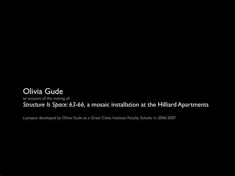 Olivia Gude Public Art Projects University Of Illinois At Chicago