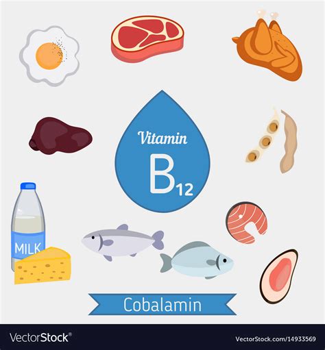 Vitamin B12 Or Cobalamin Infographic Royalty Free Vector
