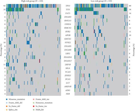 Details Of Gene Set Enrichment And Somatic Mutation Analyses Between Download Scientific