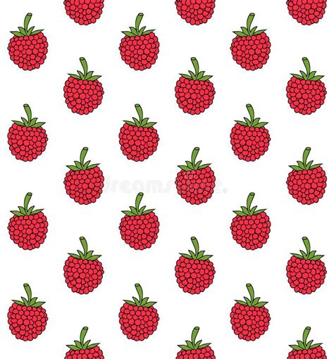 Vector Seamless Pattern Of Sketch Color Raspberry Stock Illustration Illustration Of