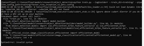 python models official vision image classification efficientnet