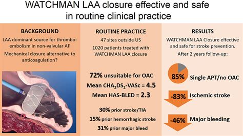 Evaluating Real World Clinical Outcomes In Atrial Fibrillation Patients Receiving The Watchman