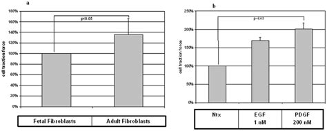Adult Fibroblasts Are More Contractile Than Fetal Fibroblasts A