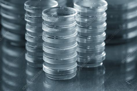 Agar Plates Stock Image F021 4058 Science Photo Library