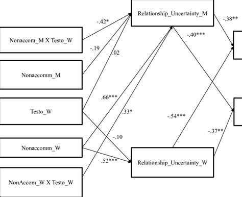 Accepted Actor Partner Interdependence Moderated Mediation Model