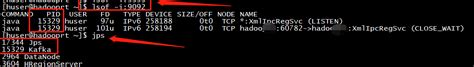 linux常用查看端口号命令 linux系统端口查询命令 csdn博客