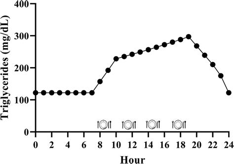 Fasting Non Fasting And Postprandial Triglycerides For Screening
