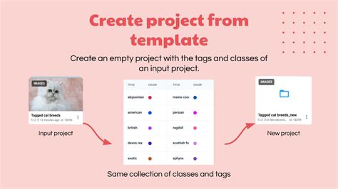 GitHub Supervisely Ecosystem Create Project From Template Create An Empty Project With Input