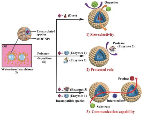Fabrication Procedures Of Mof‐cs Water‐in‐oil Emulsions Are Formed By