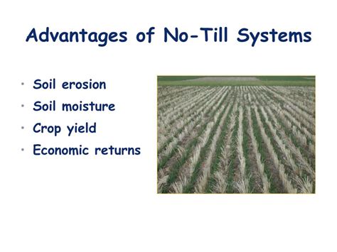 Ppt Weed Management In Alternative Tillage Systems Strategies And