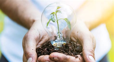 Iot In Environmental Monitoring Infisim