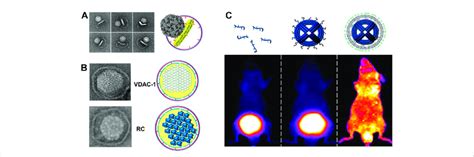 A Binding And Interactions Of Poliovirus With Cd155 Decorated