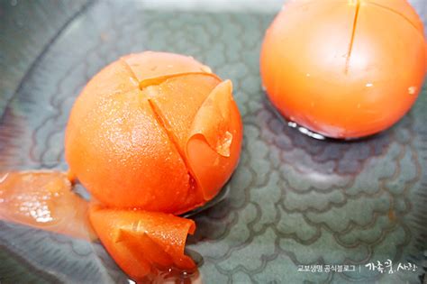 이런 맛 처음이야 달콤 상큼 건강한 맛 토마토 빙수 레시피