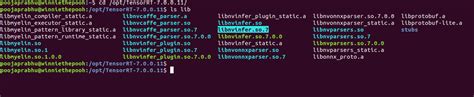 deepstream 5 deepstream app error while loading shared libraries