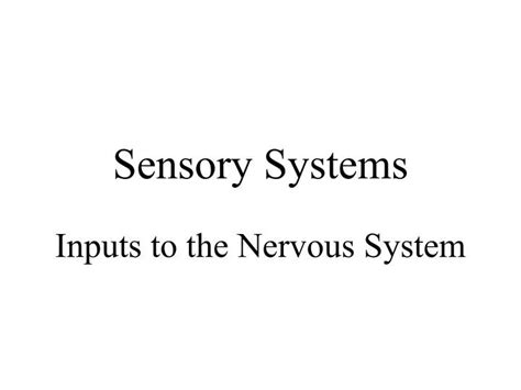 PPT Sensory Systems PowerPoint Presentation Free Download ID 761520