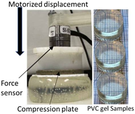 Pvc Gel Uniaxial Compression Testing Download Scientific Diagram