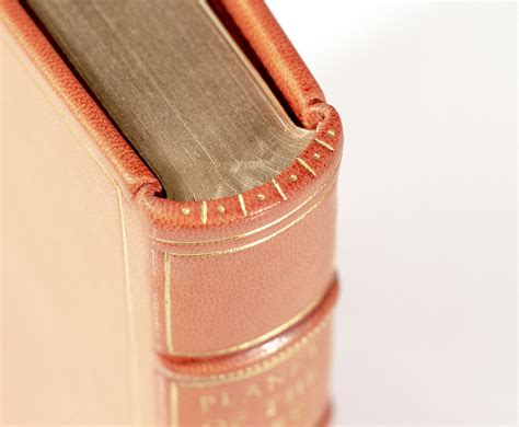 Planet Of The Apes Raptis Rare Books Fine Rare And Antiquarian