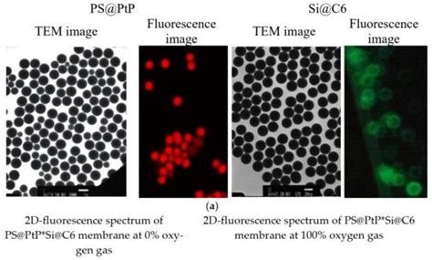 Ratiometric Fluorescent Biosensors For Glucose And Lactate Using An Oxygen Sensing Membrane