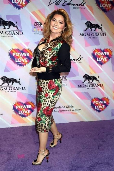 Pin On Shania Twain