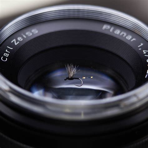 Candygnat Candy Flies