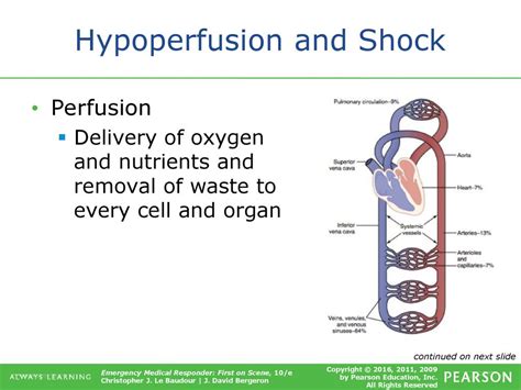 5 Introduction To Pathophysiology Ppt Download