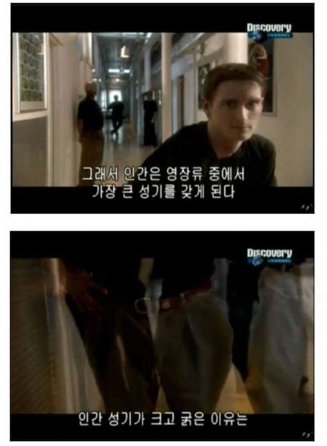 인간의 성기가 크고 굵은 이유 포텐 터짐 최신순 에펨코리아