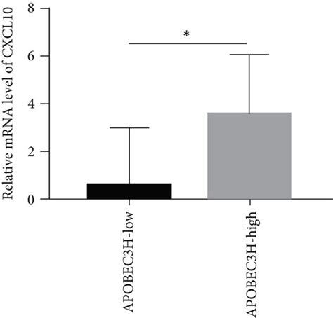 correlations among apobec3h cxcl10 and cd8 t cell infiltration in