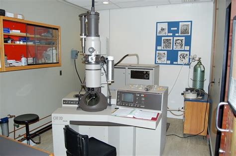 Guide To Electron Microscope GigOptix