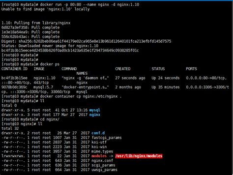 基于docker安装nginx 极客之音