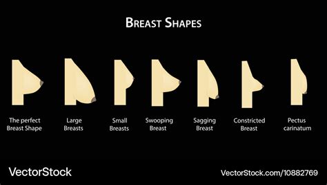 Shape The Breast On A Black Royalty Free Vector Image