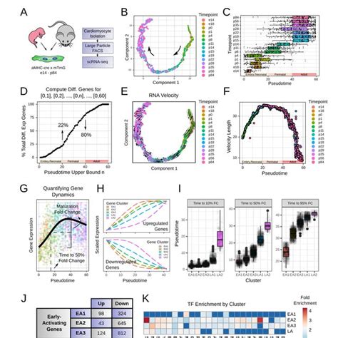 Fig S3 Scrna Seq Captures A Maturation Process In Psc Cms A Flow Download Scientific