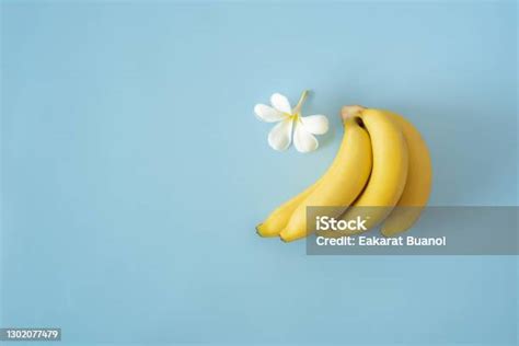 파란색 배경 상단 보기에 바나나의 무리 청록색 배경에 열대 및 이국적인 과일 플랫 누워 건강한 비건 및 채식주의 식단 여름 철 디저트 성분 간단하고 다채로운 벽지 바나나에