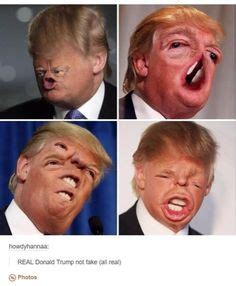 Donald Trump Memes