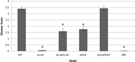 Plant Assays Testing The Role Of Rcsa Or Lrha In Virulence Data Shown Download Scientific Plant Assays Testing The Role Of Rcsa Or Lrha In Virulence Data Shown Download Scientific