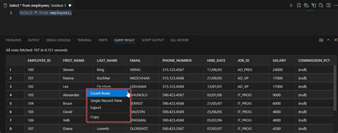 Run Sql Developer From Microsoft Vs Code Rishoradevs Oracle Blogs