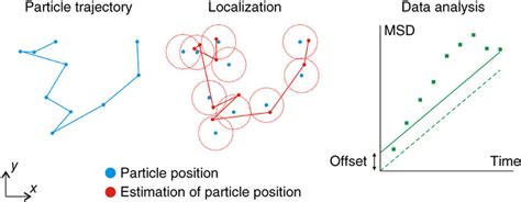 Influence Of Localization Precision On The Analysis Of Single Particle