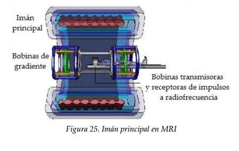 Método De Análisis Resonancia Magnética Imagen Por Resonancia