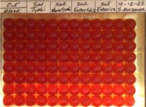 Food Object Detection Dataset And Pre Trained Model By Nust