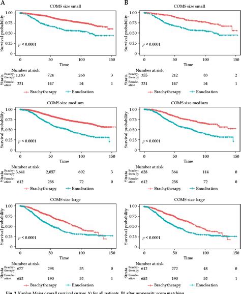 Figure 1 From Eye Plaque Brachytherapy Versus Enucleation For Ocular Melanoma An Analysis From